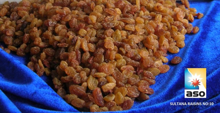 Sultana Raisins | Aso Food Turkey | BRC Certified A Grade Supplier